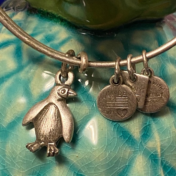 Alex and Ani | Jewelry | Alex And Ani Penguin Nwt | Poshmark